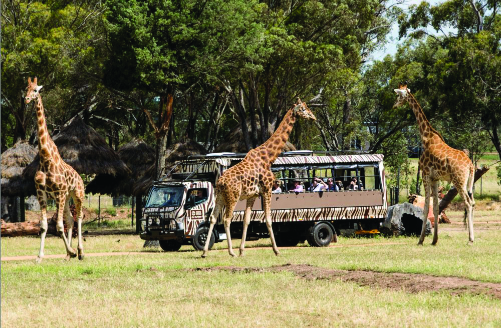 Dubbo and the Great Western Plains - Leisure Options