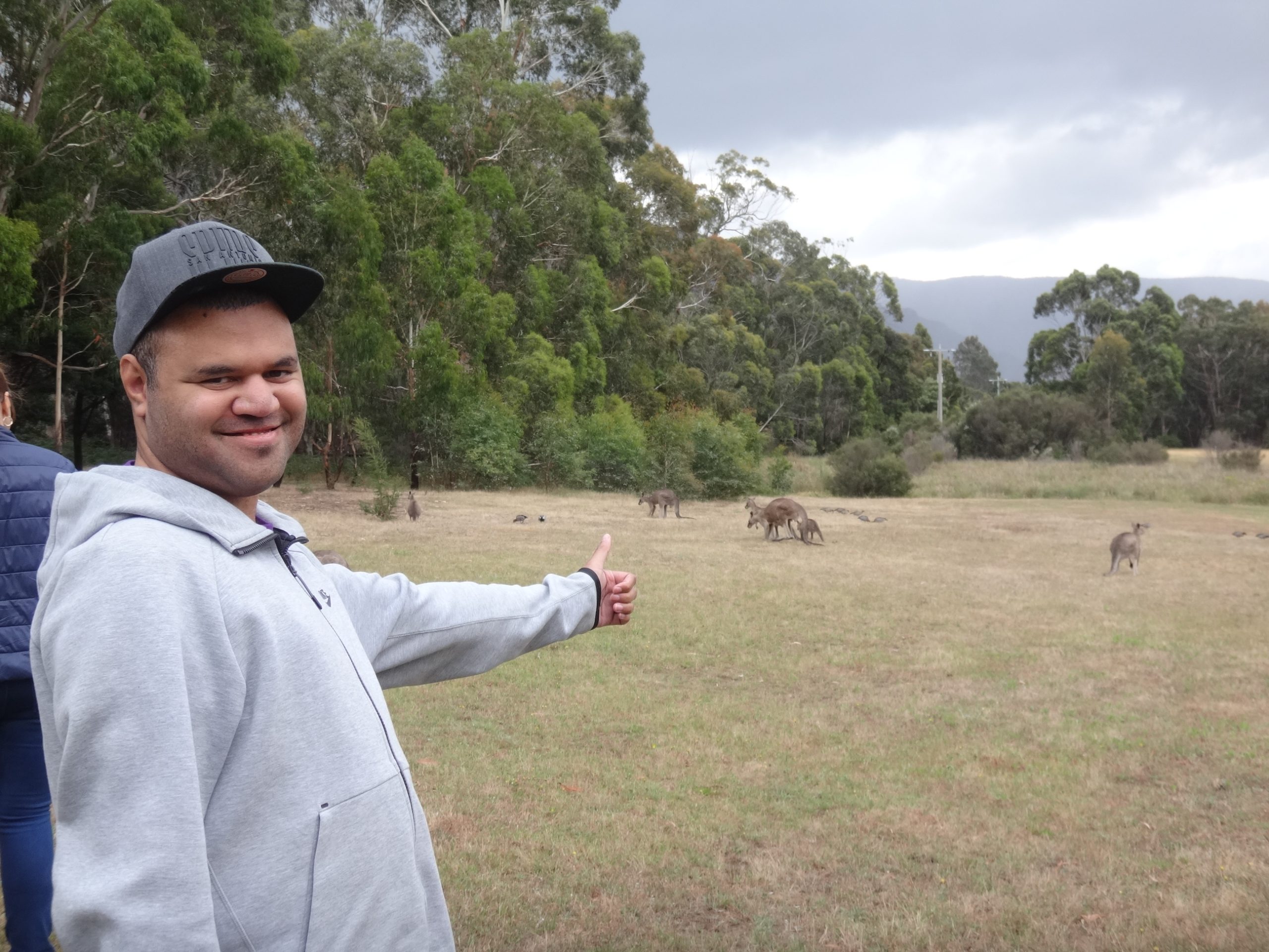 Warrnambool and the Shipwreck Coast - Leisure Options