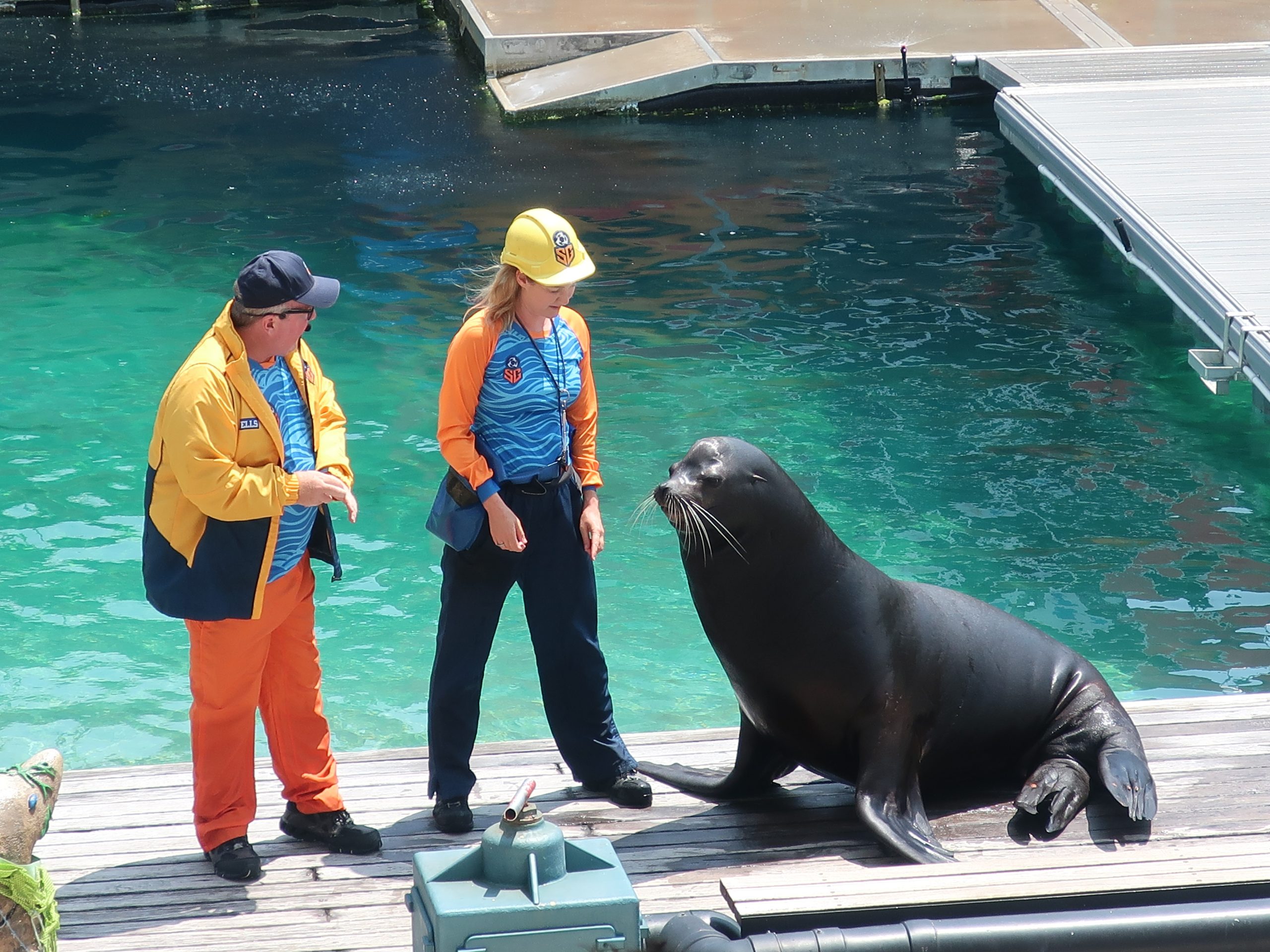 Seaworld Resort Premium Experience - Leisure Options